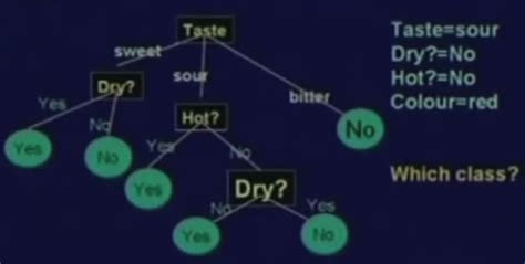 rule induction and decision trees in ai new technology