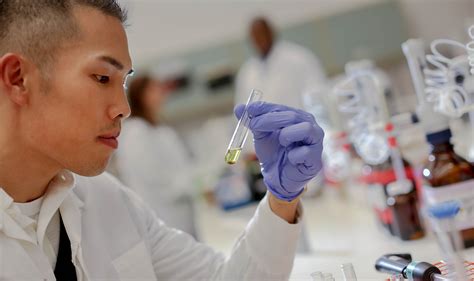 Reasons For Testing Follow Up Drug Testing Quest Diagnostics