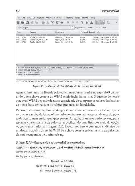 Testes De Invasão Uma Introdução Prática Ao Hacking Georgia Weidman Jogo 0 Page 431 Flip