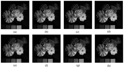 Hyperspectral Panchromatic Sharpening Method Based On Deep Detail Injection Network Eureka