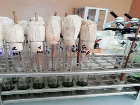 Организация и техника проведения дезинфекции кожного покрова животных презентация онлайн