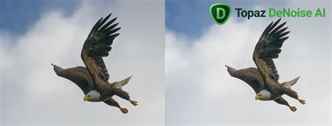 Opiniones Sobre Topaz Denoise Ai • Tutorial Descuento