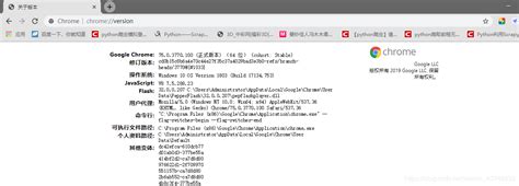 【ai测试学习】【python学习】解决monexceptionswebdriverexception
