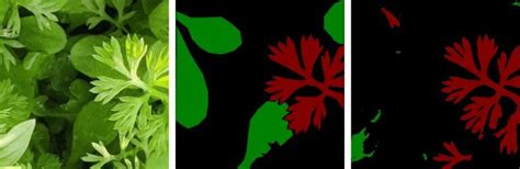 Multiclass Segmentation In Pytorch Using U Net Idiot Developer