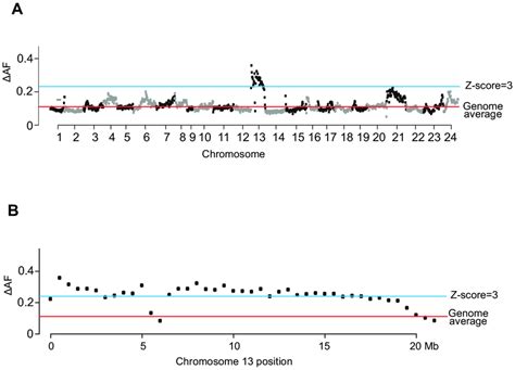 Genetic Differentiation Between Phenotypic Males And Females Highlights Download Scientific