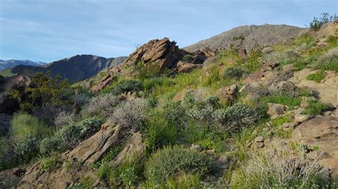 Esri Developer Summit 2017 Software Development Company In Nyc