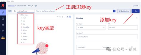 推荐！！！ Redis Insight 最好的redis可视化运维工具redis Insight 用法 Csdn博客