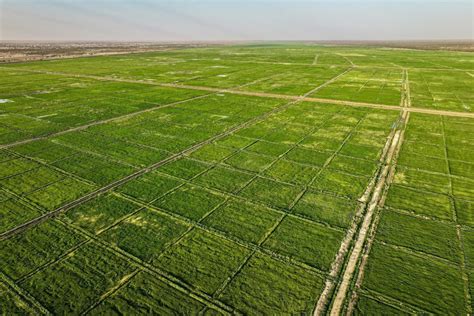 Meet Esa Worldcover Global Land Cover Mapping At High Spatial Resolution Sentinel Success