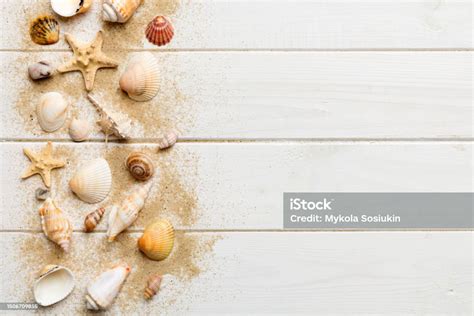 여름 시간 개념 컬러 테이블에 아름다운 불가사리와 바다 조개가있는 평평한 평지 구성 텍스트를위한 복사 공간이있는 상단 전망 0명에 대한 스톡 사진 및 기타 이미지 Istock