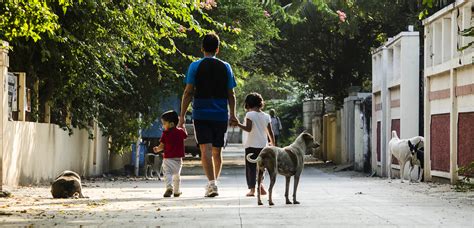 The Guard Anand Raghavan Flickr