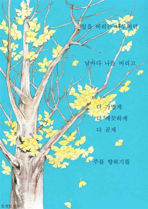 잎을 버리는 나무 갓피플