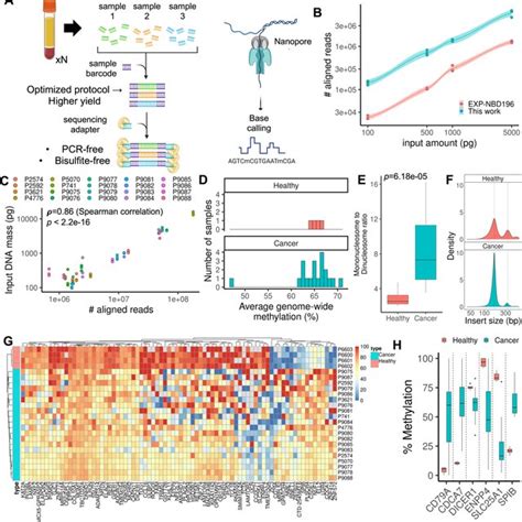 Longitudinal Methylation Profiles Of Patient Derived Cfdna In Other Download Scientific Diagram