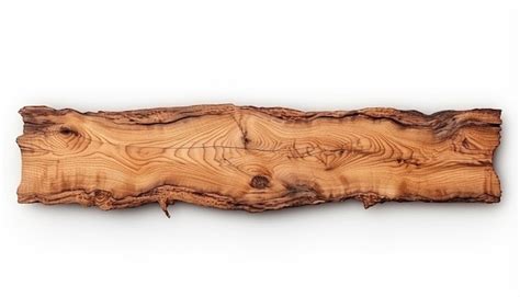 87000 Tree Trunk Png Pictures