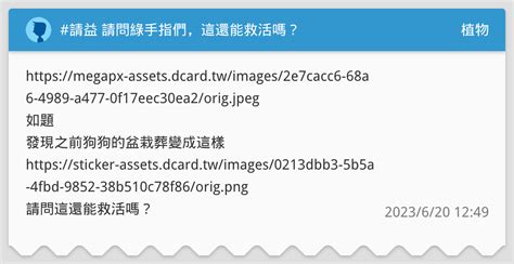 請益 請問綠手指們這還能救活嗎 植物板 Dcard