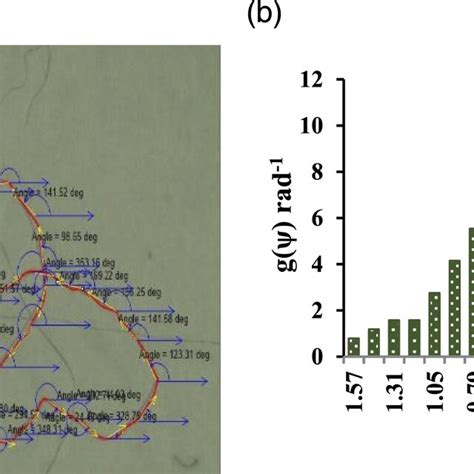 Evaluation Of Anisotropy A Schematic View Of Fibre Angle