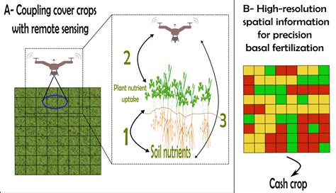 The Potential Of Remote Sensing Of Cover Crops To Benefit Sustainable And Precision
