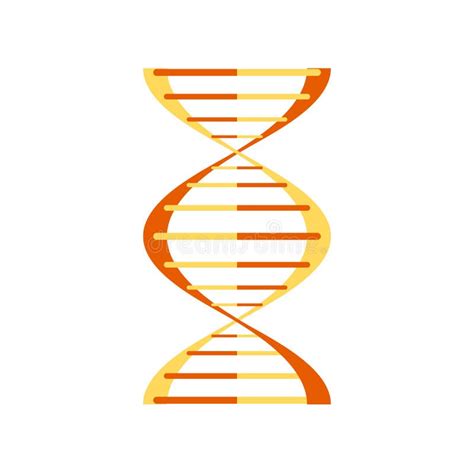 Human Genes Cell Dna Molecules Helix Structure Stock Vector
