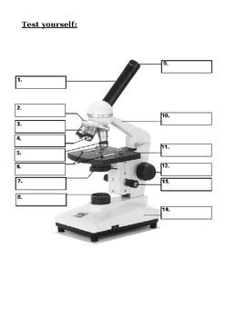 Lab Activity Exploring Microscopes A Beginner S Guide TPT