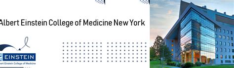 Albert Einstein College Of Medicine Vellore Endocrinology Cmc