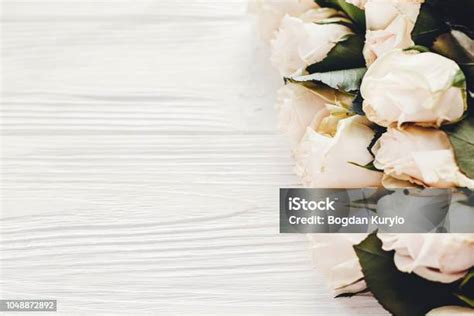 화이트 장미 나무 배경 텍스트에 대 한 공간을 복사 인사말 카드를 꽃 이랑 청첩장 또는 해피 어머니의 날 개념입니다 흰 꽃의 세련 된 테두리입니다 안녕하세요 봄 결혼식에