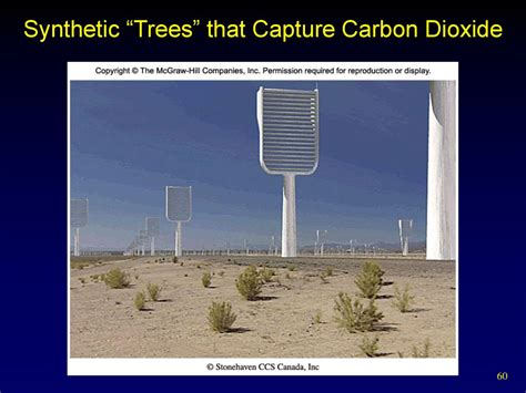 Chapter Lecture Outline Ppt Download