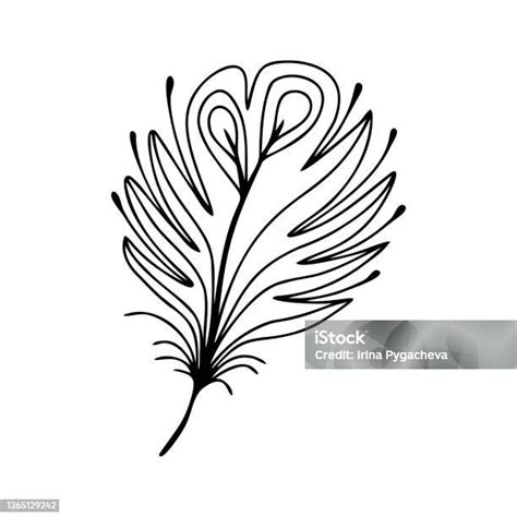 흰색 고립 된 배경에 손으로 그린 새 깃털 낙서 간단한 개요 그림 그것은 직물 종이 및 기타 표면의 장식에 사용할 수 있습니다
