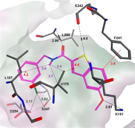 The Predicted Binding Mode Of Compound 7b Magenta Docked In The Atp