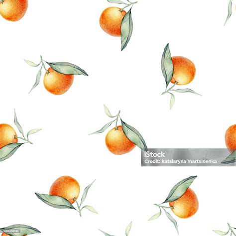 원활한 수채화 감귤류 과일과 잎 패턴 흰색 배경에 녹색 잎과 오렌지 과일 원활한 만다린과 오렌지 수채화 일러스트레이션 0명에 대한 스톡 벡터 아트 및 기타 이미지 Istock