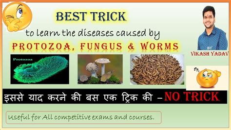 Diseases Caused By Worms
