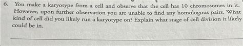 Solved You Make A Karyotype From A Cell And Observe That The