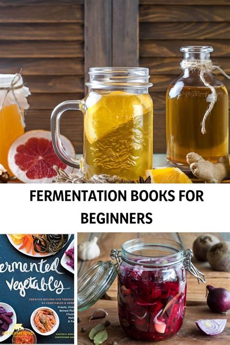 Top 5 Fermentation Books For Beginners My Fermented Foods Recipes