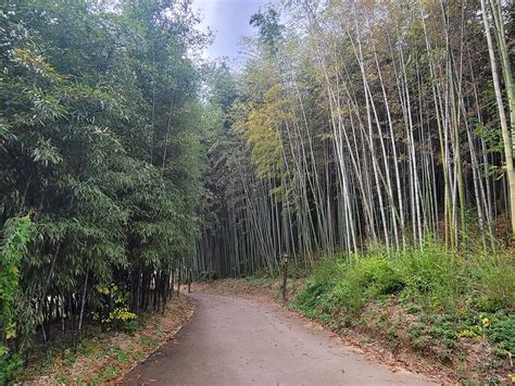 5060걷기 초보트레킹 파주 운정 문산 일산 고양 Band