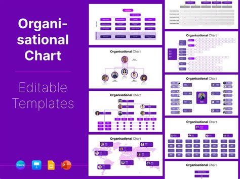 Organisational Chart Organisational Structure Organisation Design