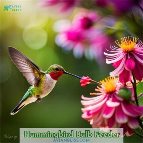 Unique Hummingbird Feeders 9 Best Picks