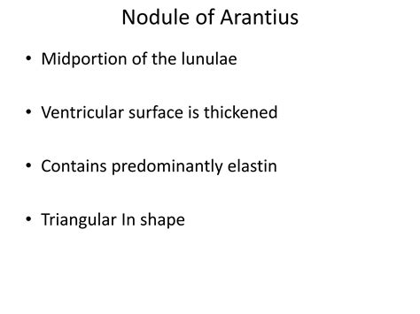 Aortic Valve Anatomy Presentation Pptx