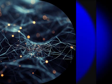 A Multiscale Map Of Inflammatory Stress