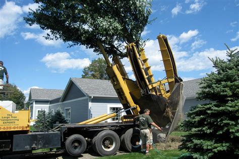 Landcape Design Construction Acorn Tree And Landscaping Inc