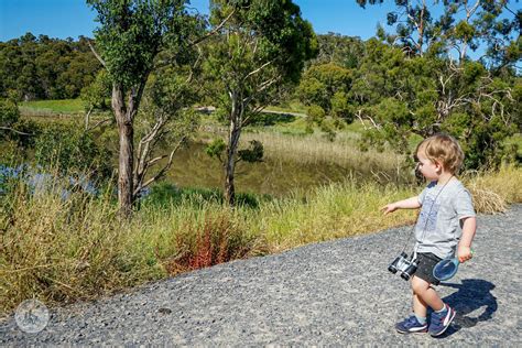 Liverpool Road Retarding Basin Boronia — Mamma Knows East
