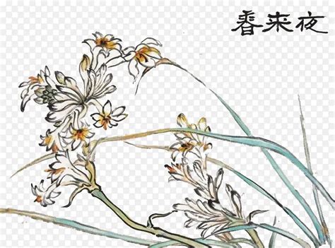 夜来香画PNG图片素材下载 图片编号qlokbljy 免抠素材网