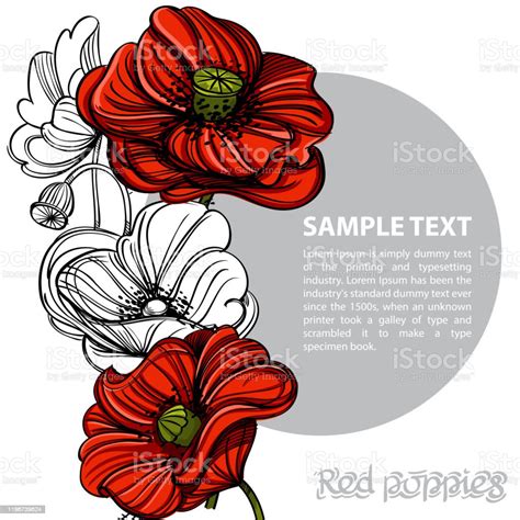 손으로 그린 빨간 양귀비 텍스트 공간이 있는 벡터 그림입니다 배너 포스터 인사말 카드 및 기타 항목에 대한 꽃 디자인 요소 0