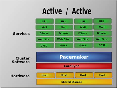 1 4 Types Of Pacemaker Clusters