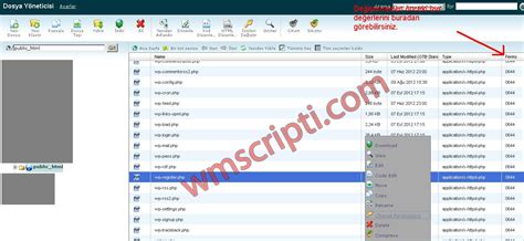 scriptlerde chmod ayarı nasıl yapılır wm scripti scripti script