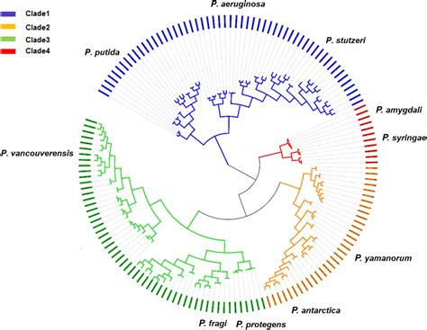 Revisiting The Intrageneric Structure Of The Genus Pseudomonas With Complete Whole Genome