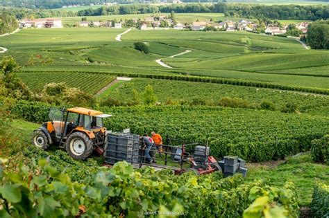 Šampanė Uab Rekvizitai Lt