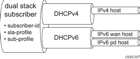 Esmv6 Ipoe Dual Stack Hosts