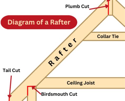 Rafters Vs Roof Trusses Complete Structural Guide