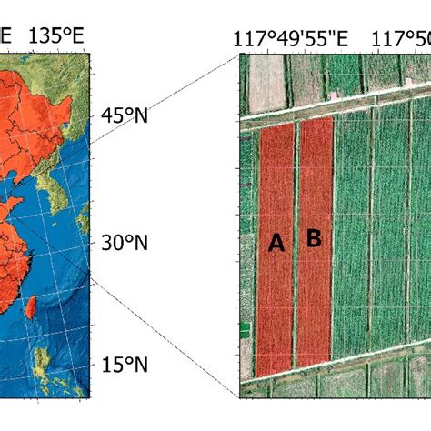 Bp Neural Network Model Structure Download Scientific Diagram