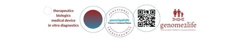Functional Transgenomics On Linkedin Decoding Speech Perception From