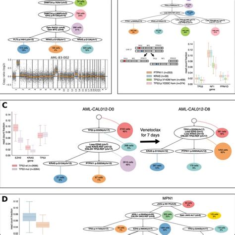 New Insights In Clonal Evolution Of Myeloid Neoplasms A Tree Inferred Download Scientific