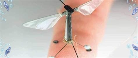 Prohelper Robobee Worlds Smallest Flying Robot Facebook